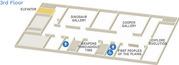 Morrill Hall First Floor Map